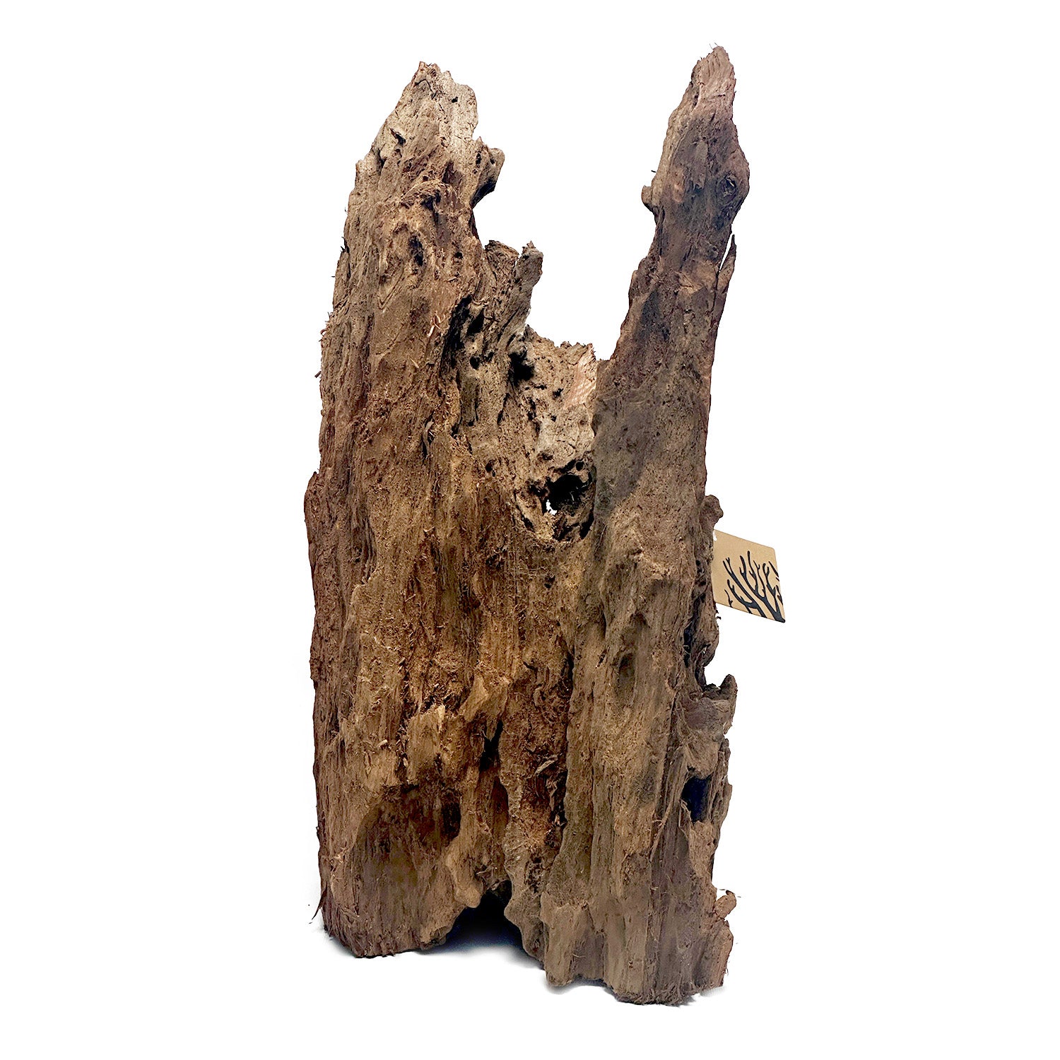 SR Aquaristik Malaysian Mangrove Wood