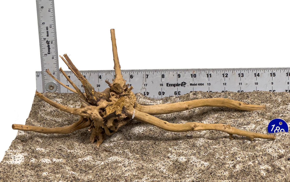 Pine Spider Wood | Aquarium Wood at SRaquaristik.com – SR Aquaristik