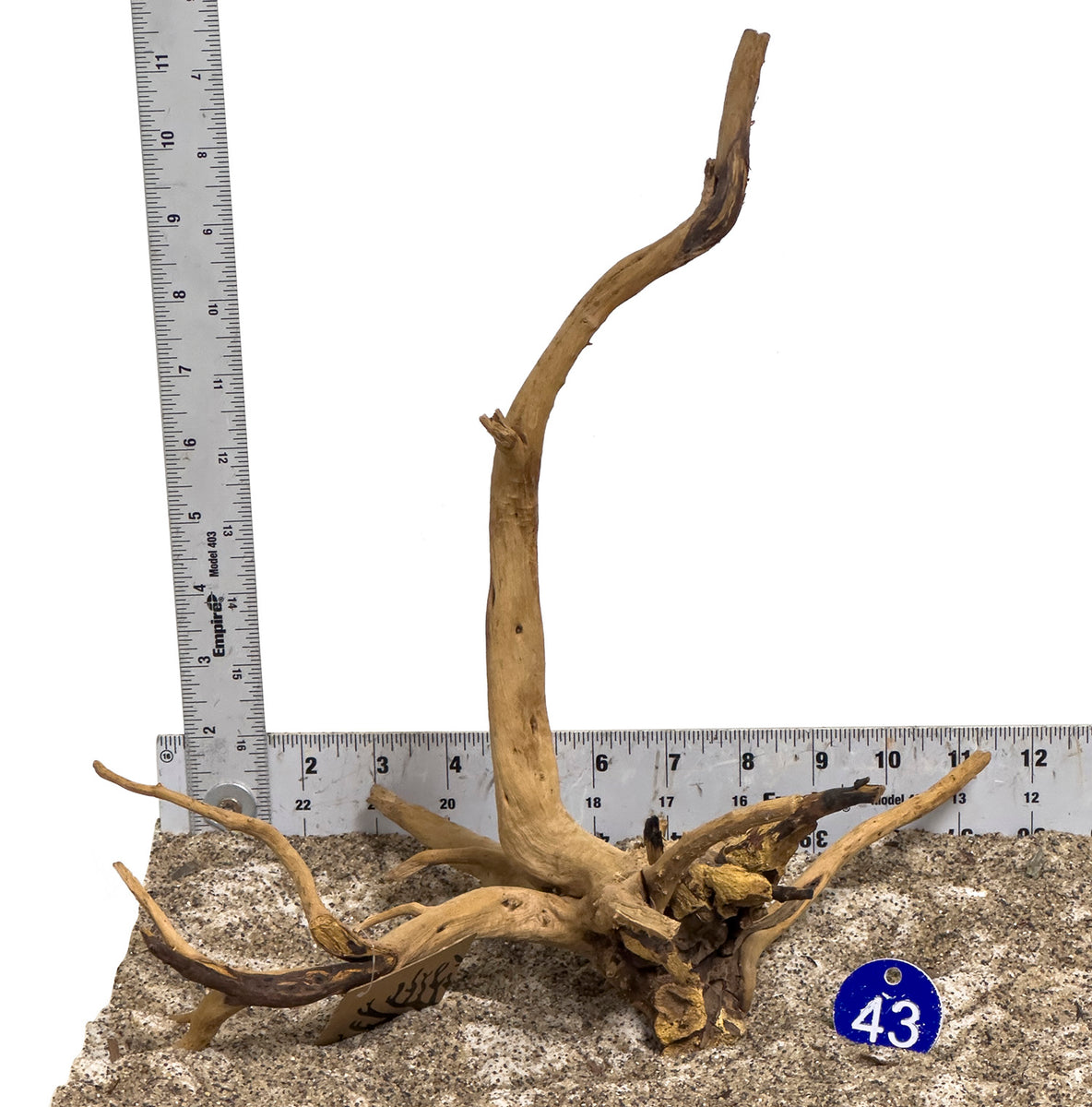 Pine Spider Wood | Aquarium Wood at SRaquaristik.com – SR Aquaristik