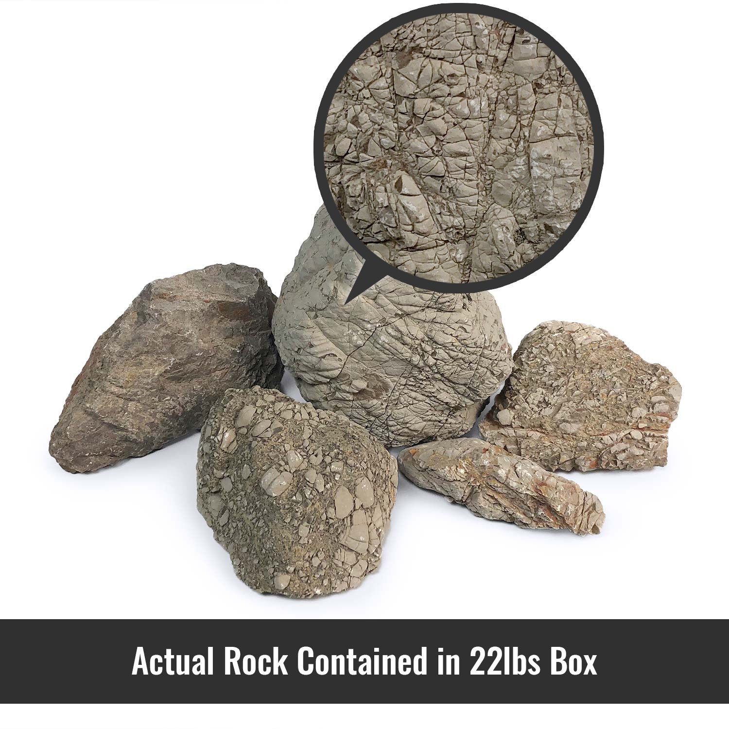 Tan Elephant Skin Stone – SR Aquaristik